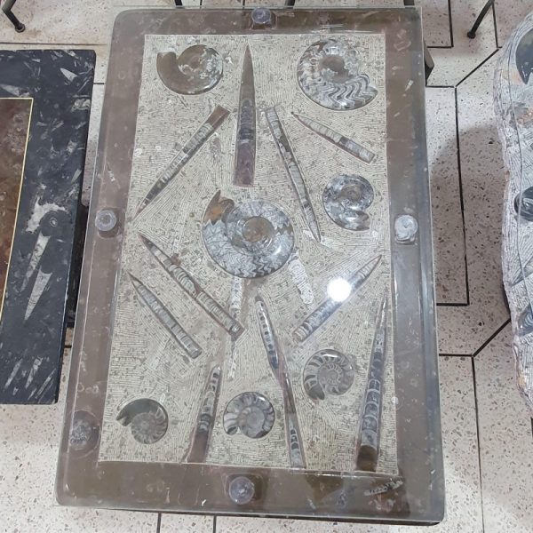 Erfoud Morocco Fossil Tables - Selenite & Fossils