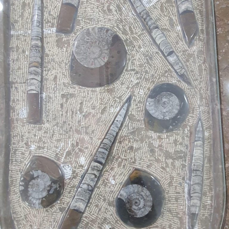Ammonite Fossil Table - Selenite & Fossils
