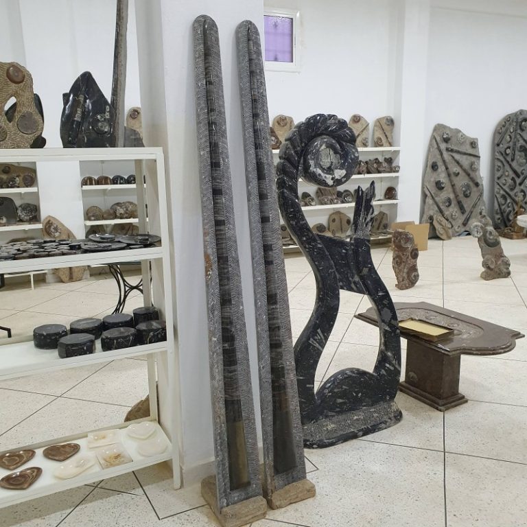 The Treasures of Time: Exploring Fossils in Morocco - Selenite & Fossils