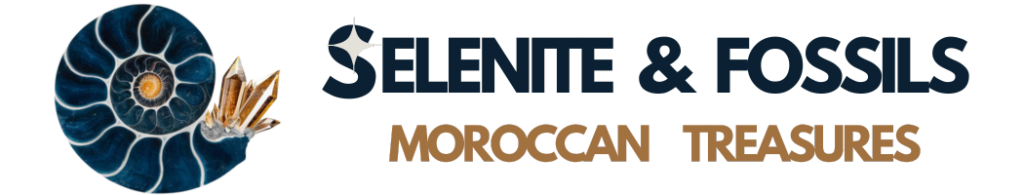 Goethite: The Hidden Beauty of an Earthy Iron Mineral - Selenite & Fossils